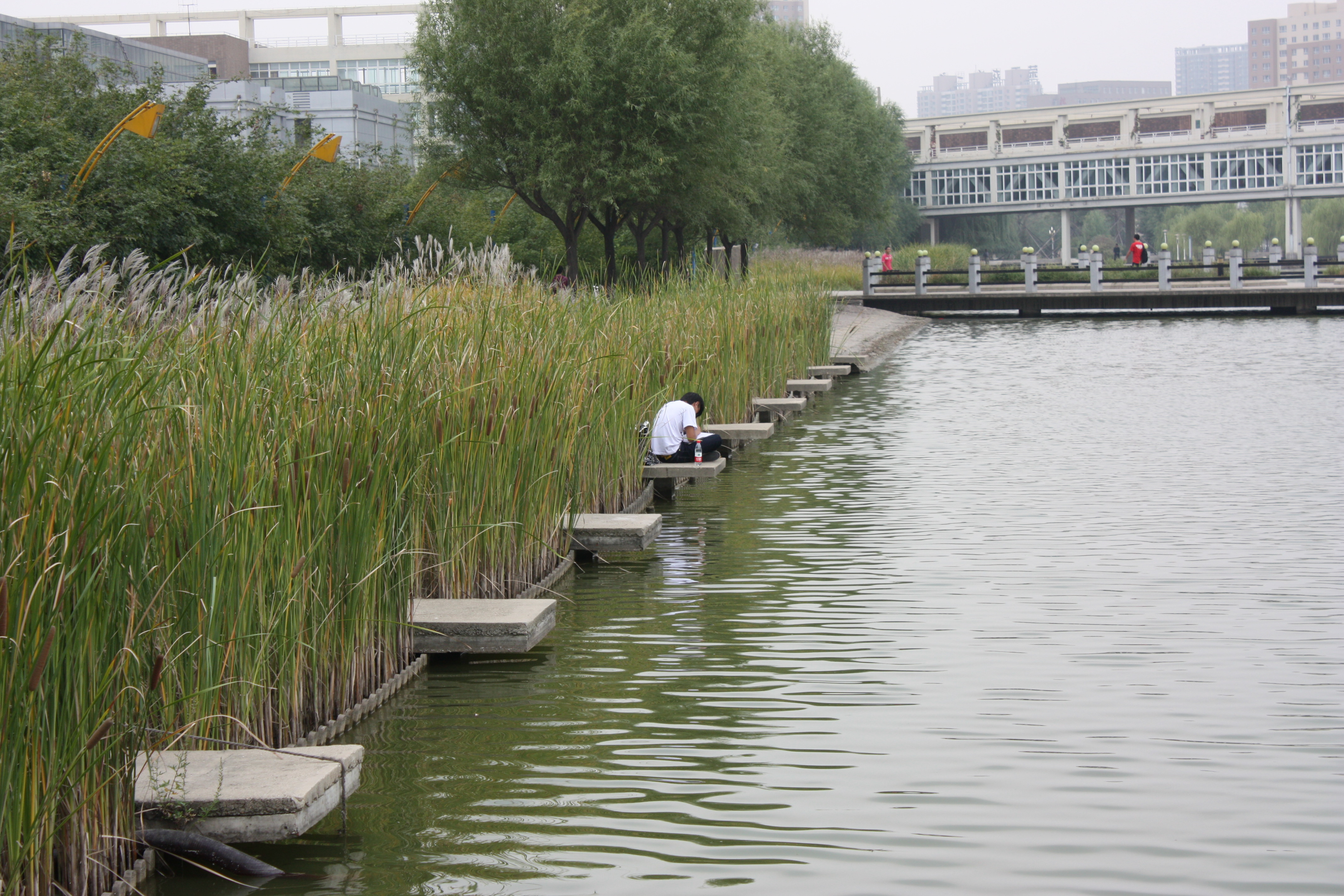 shenyang architectural university campus (Kongjian YU + Shihong LIN ...