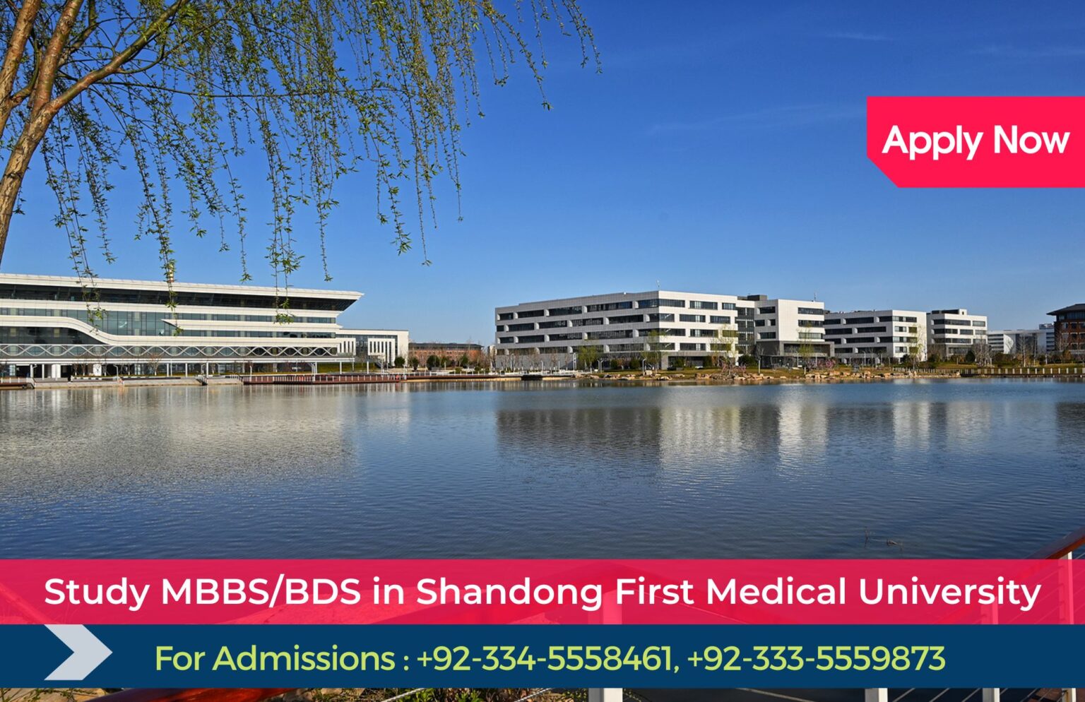 Shandong First Medical University | MBBS Fee 2023, Admission – EaziLine ...